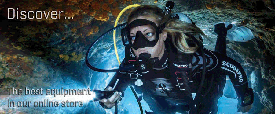 Scuba Dive Brisbane | Learn To Scuba Dive | Go Dive Brisbane | PADI ...